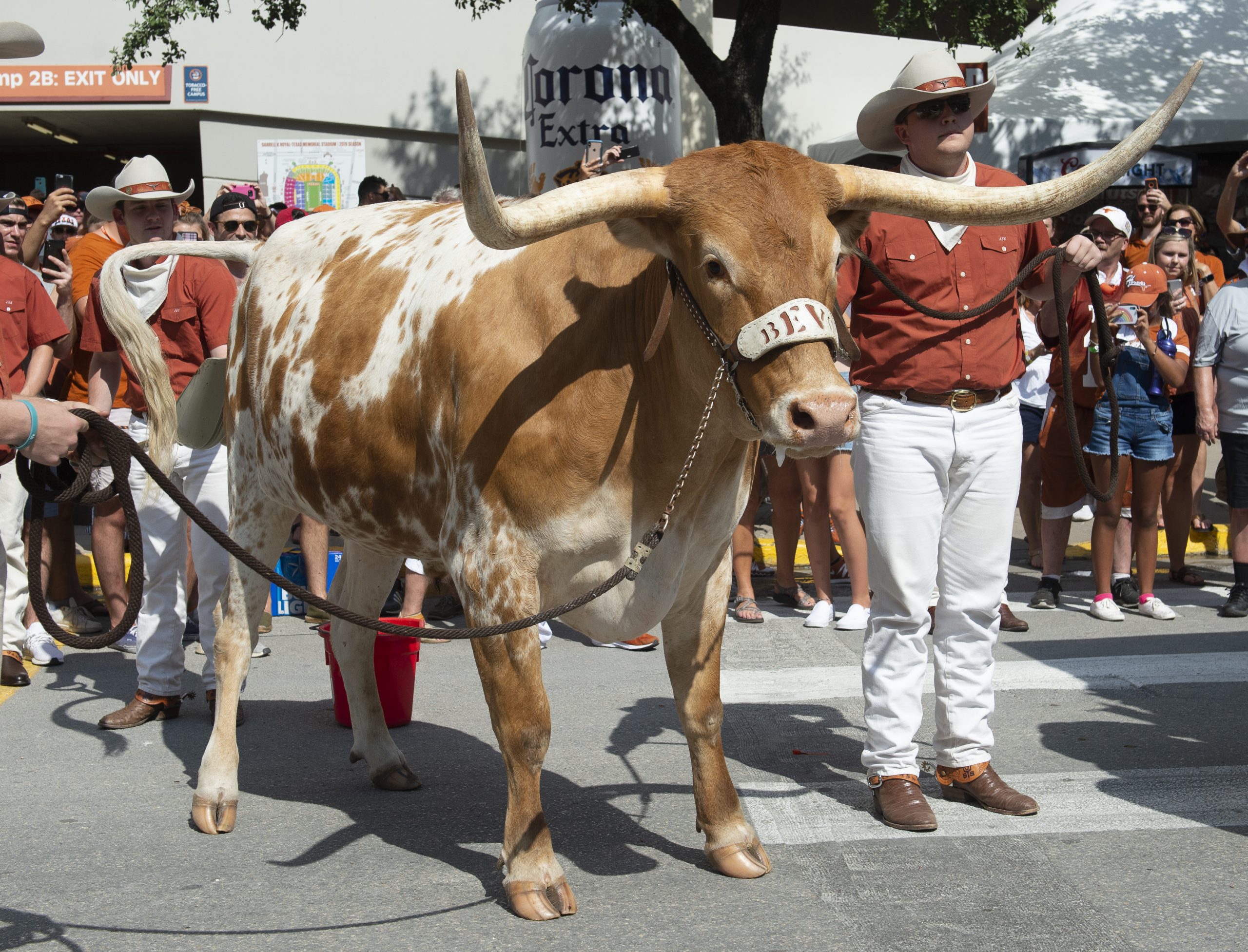 Photo Gallery: UT Football vs Louisiana Tech-Bevo Parade and Team ...