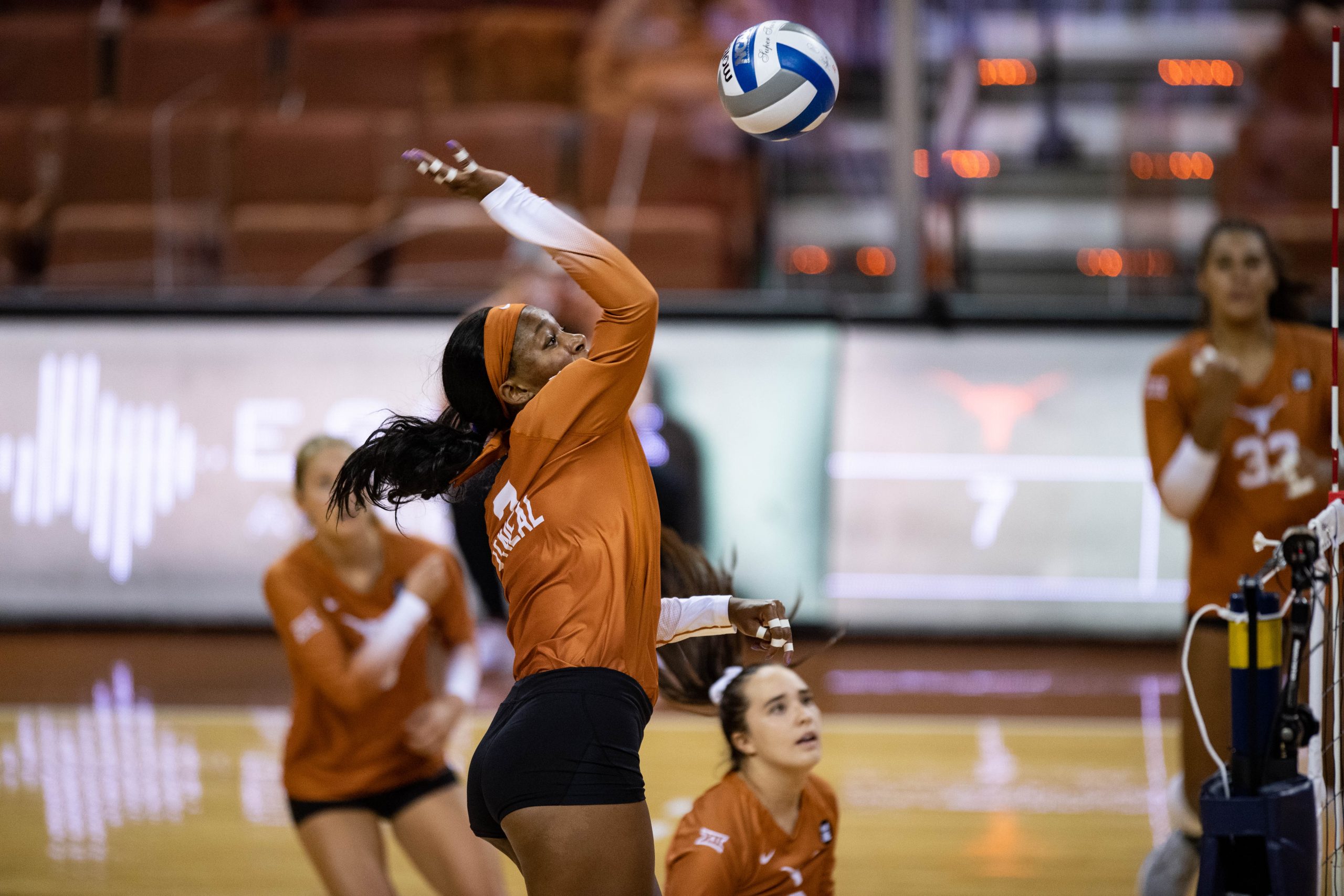 Volleyball Photo Gallery - Horns Illustrated