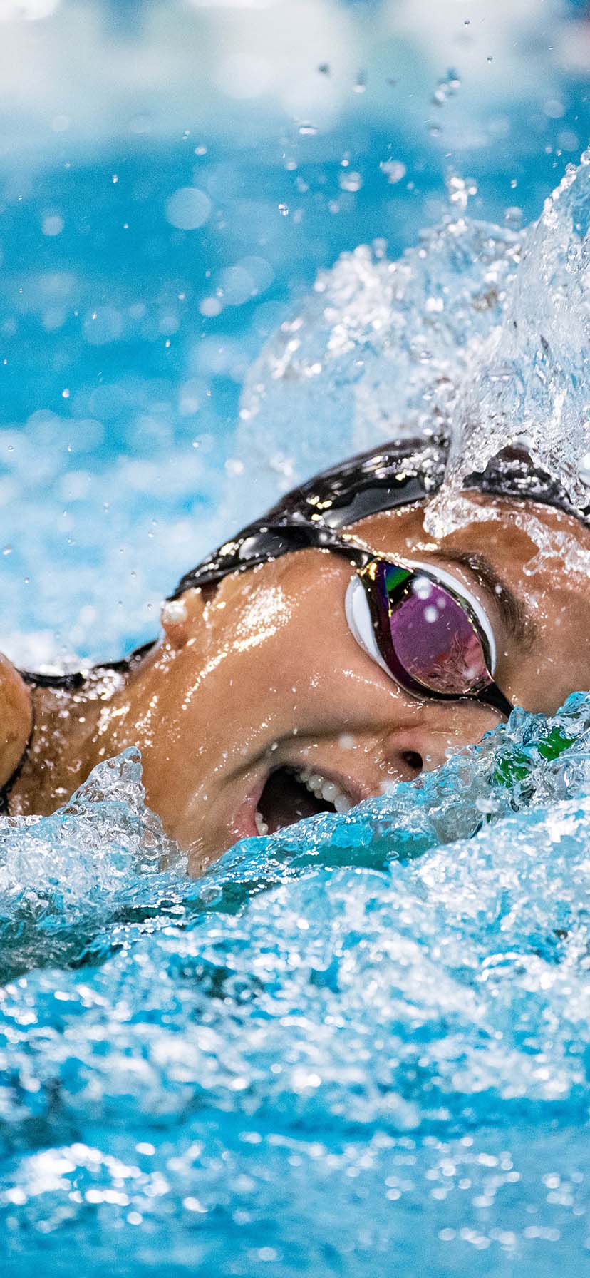 P7 – Kelly Pash - Horns Illustrated