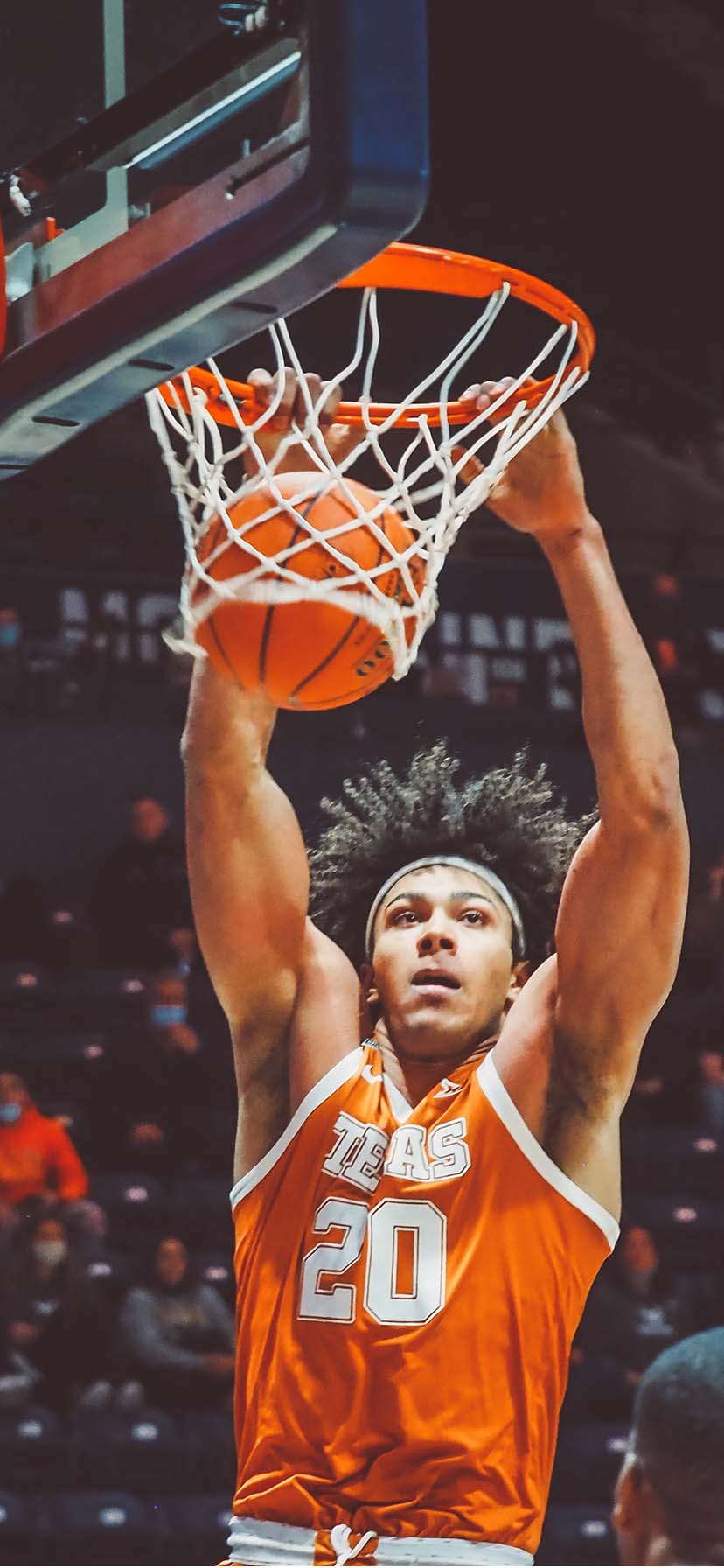 Jericho Sims Dunk - Horns Illustrated