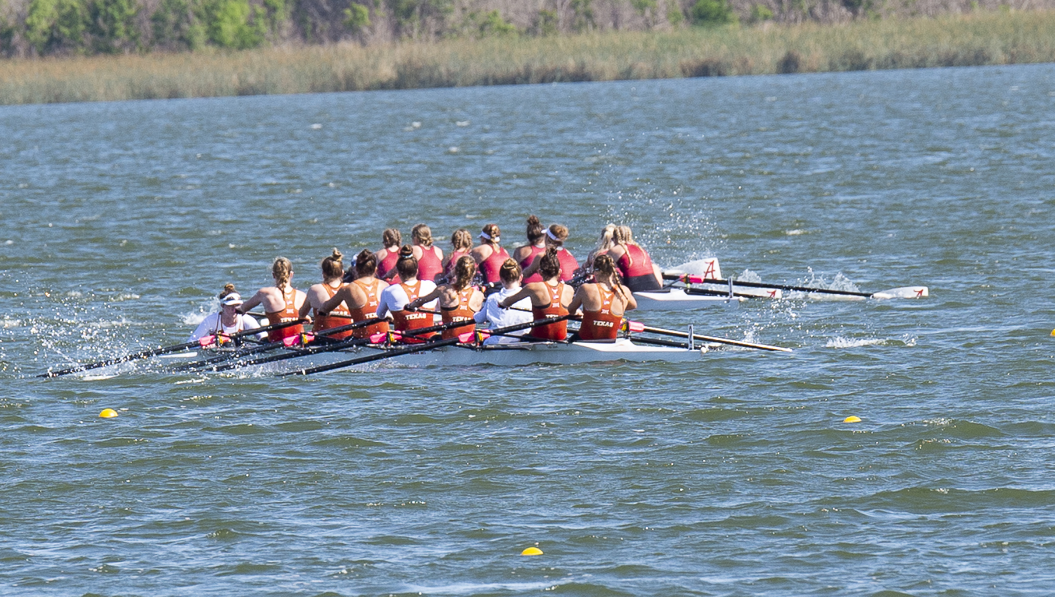 Photo gallery: Texas Rowing — Longhorn Invitational - Horns Illustrated